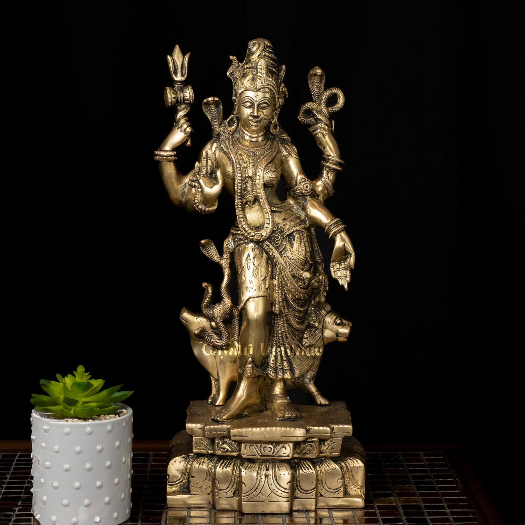 Kripacharya: The Immortal Guru of the Mahabharata – Gayatri Heritage